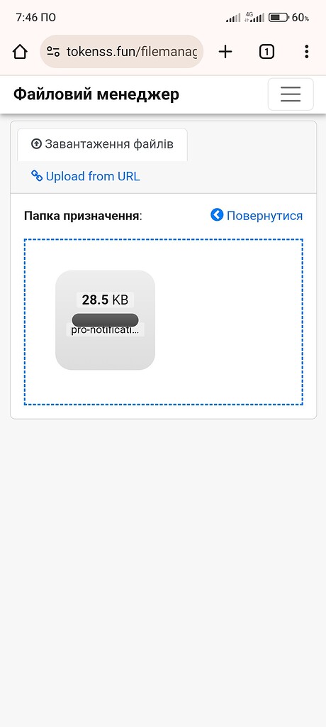Files Are Not Uploaded To The Server Hosting Support Infinityfree Forum