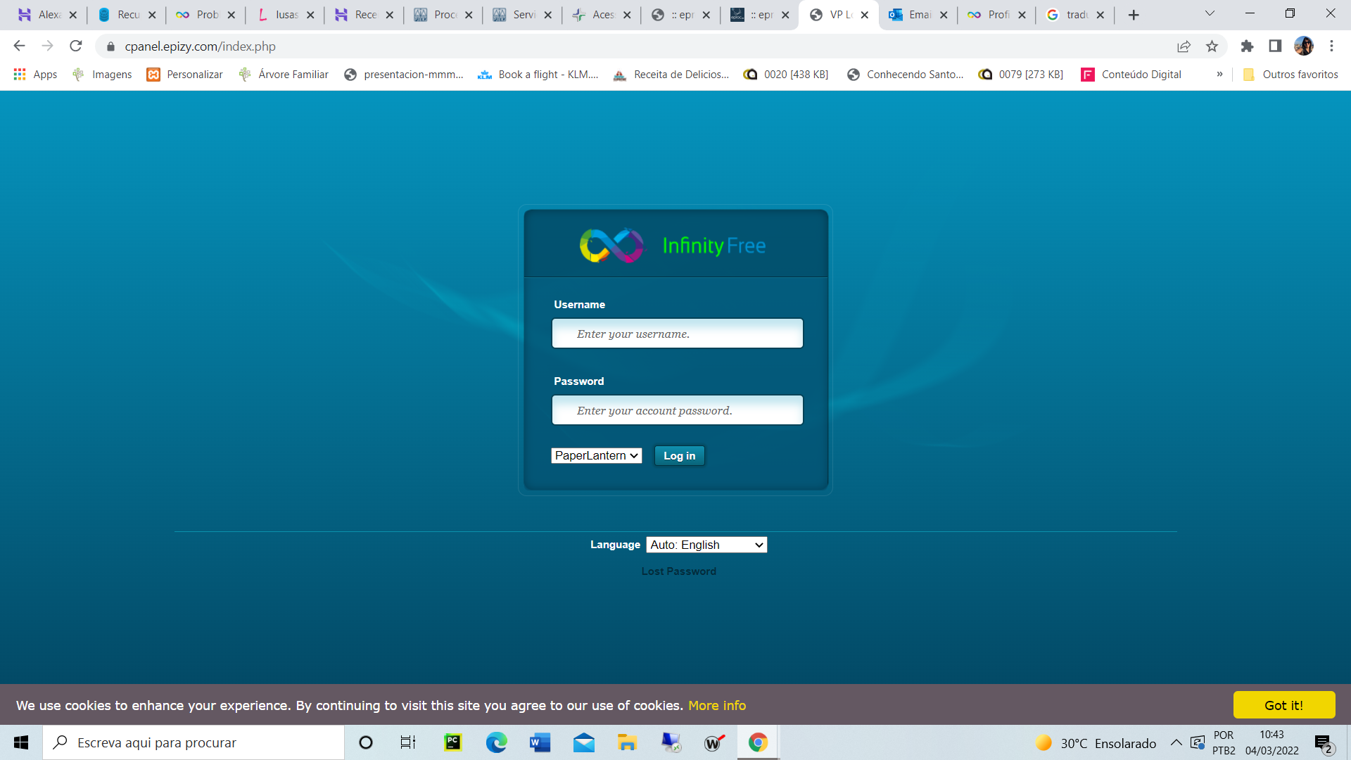 Control panel access - Hosting Support - InfinityFree Forum
